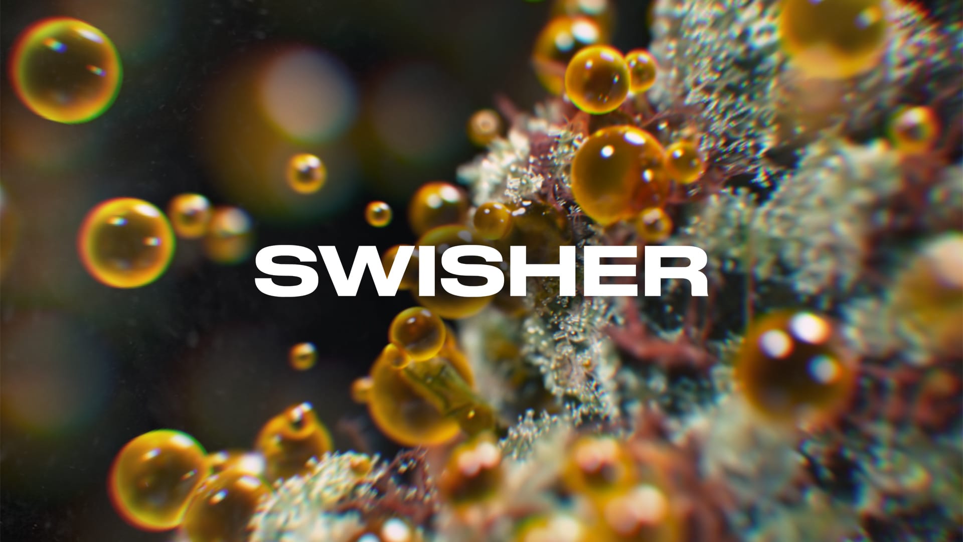 Swisher Bluntenders